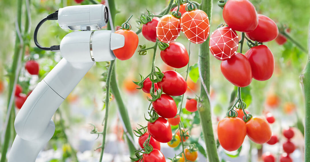 ¿Qué es la visión artificial y cómo funciona con la inteligencia ...